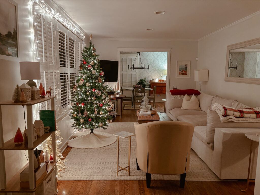 Our Christmas Tree and Lights