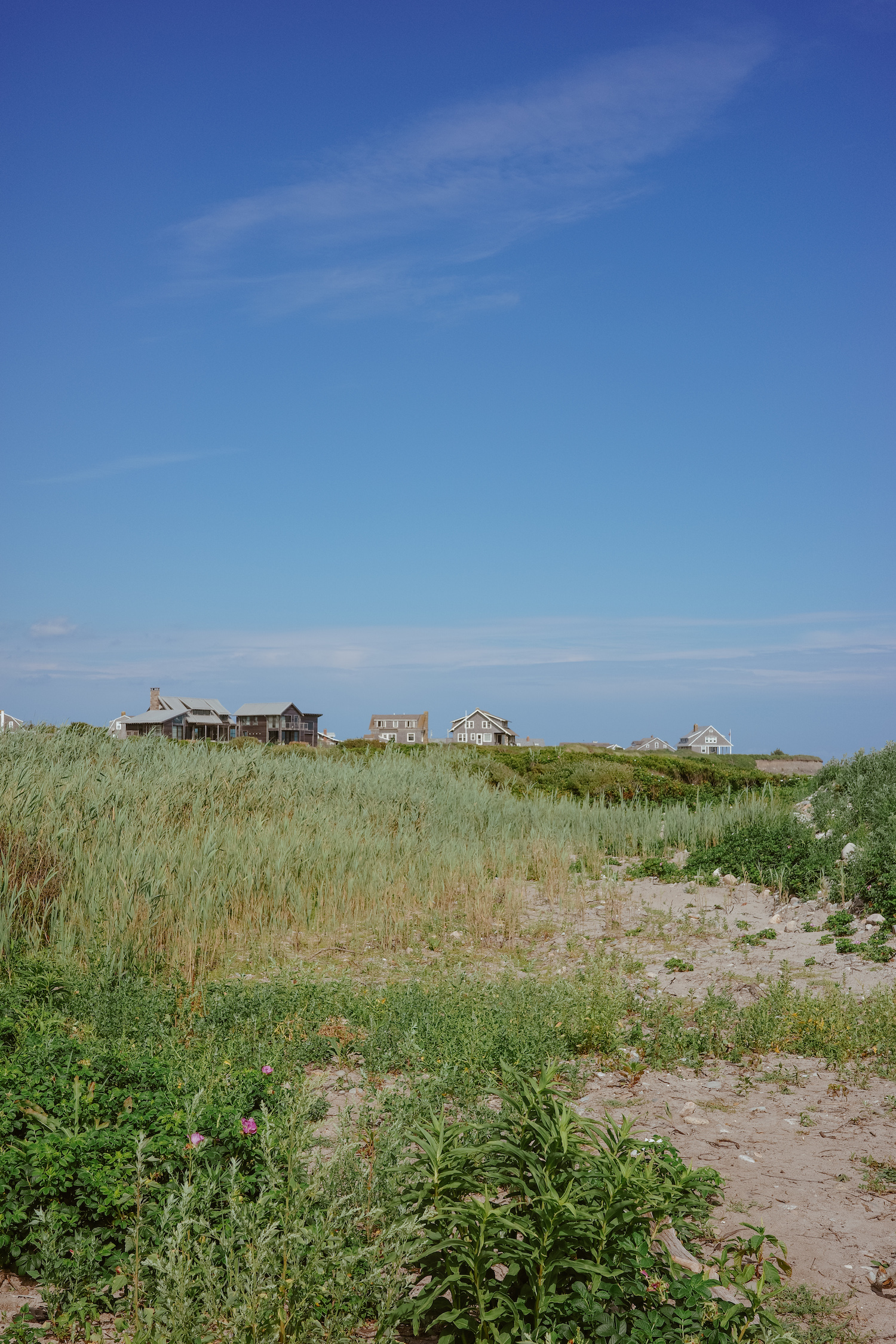 Scenes of Summer Life in Rhode Island, Pt. 4