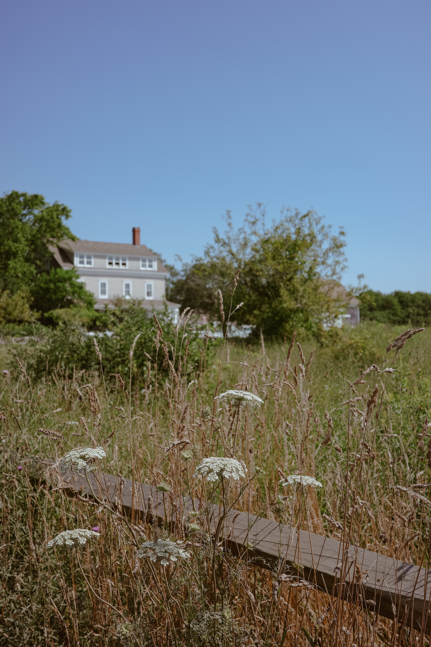 Scenes of Summer Life in Rhode Island, Pt. 4