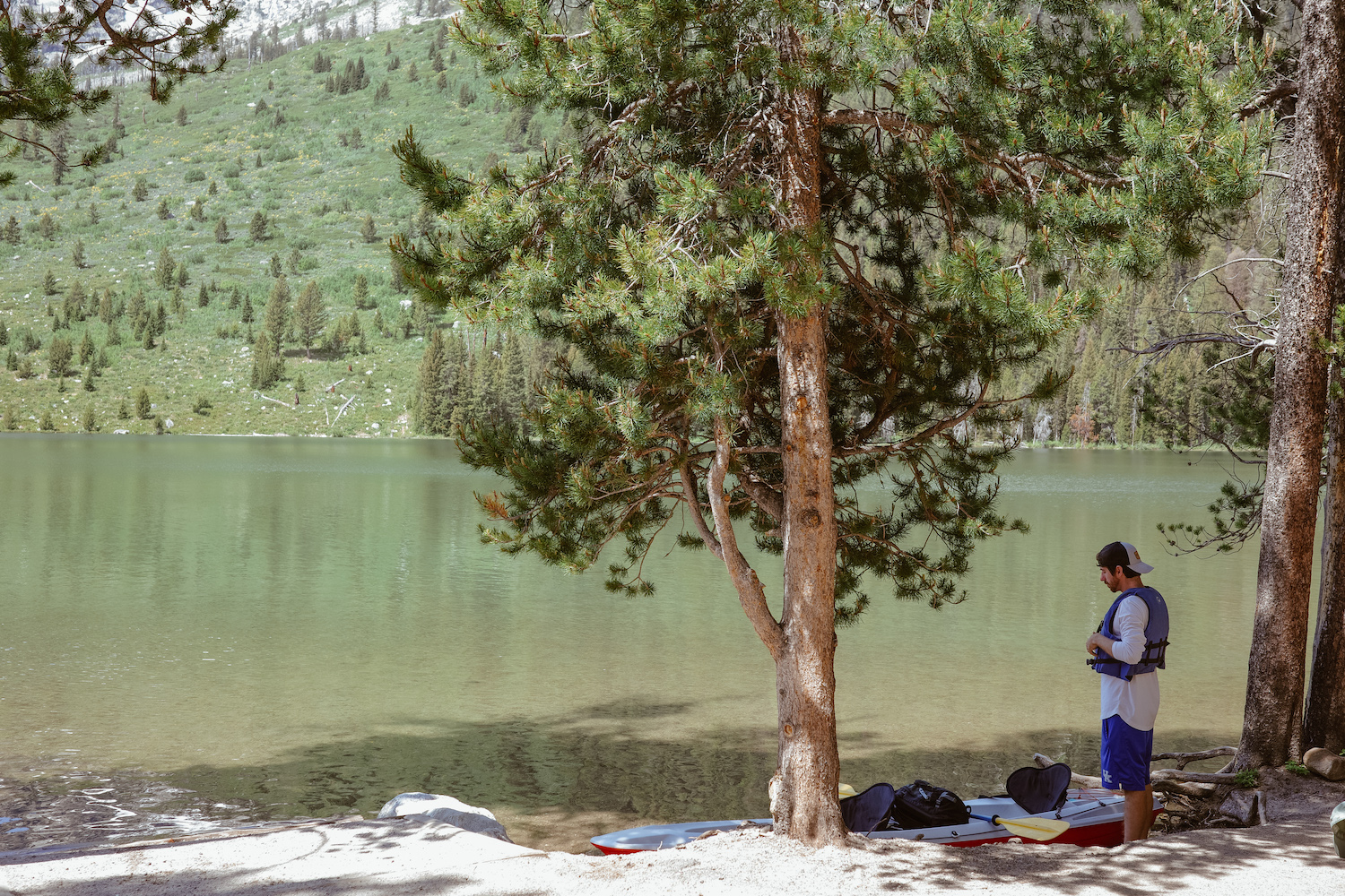 A June Week in Jackson Hole