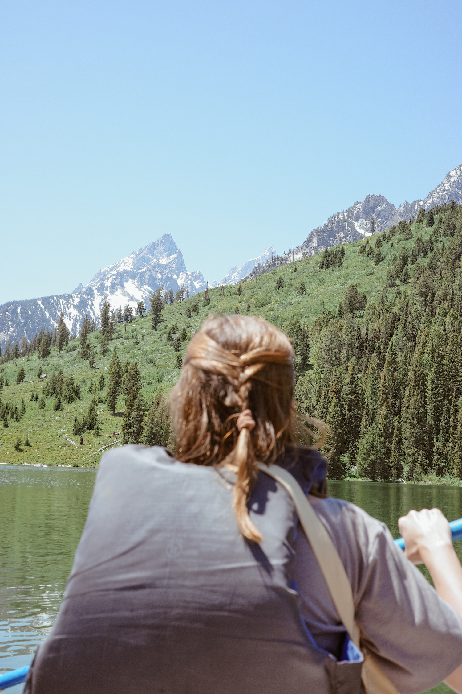 A June Week in Jackson Hole